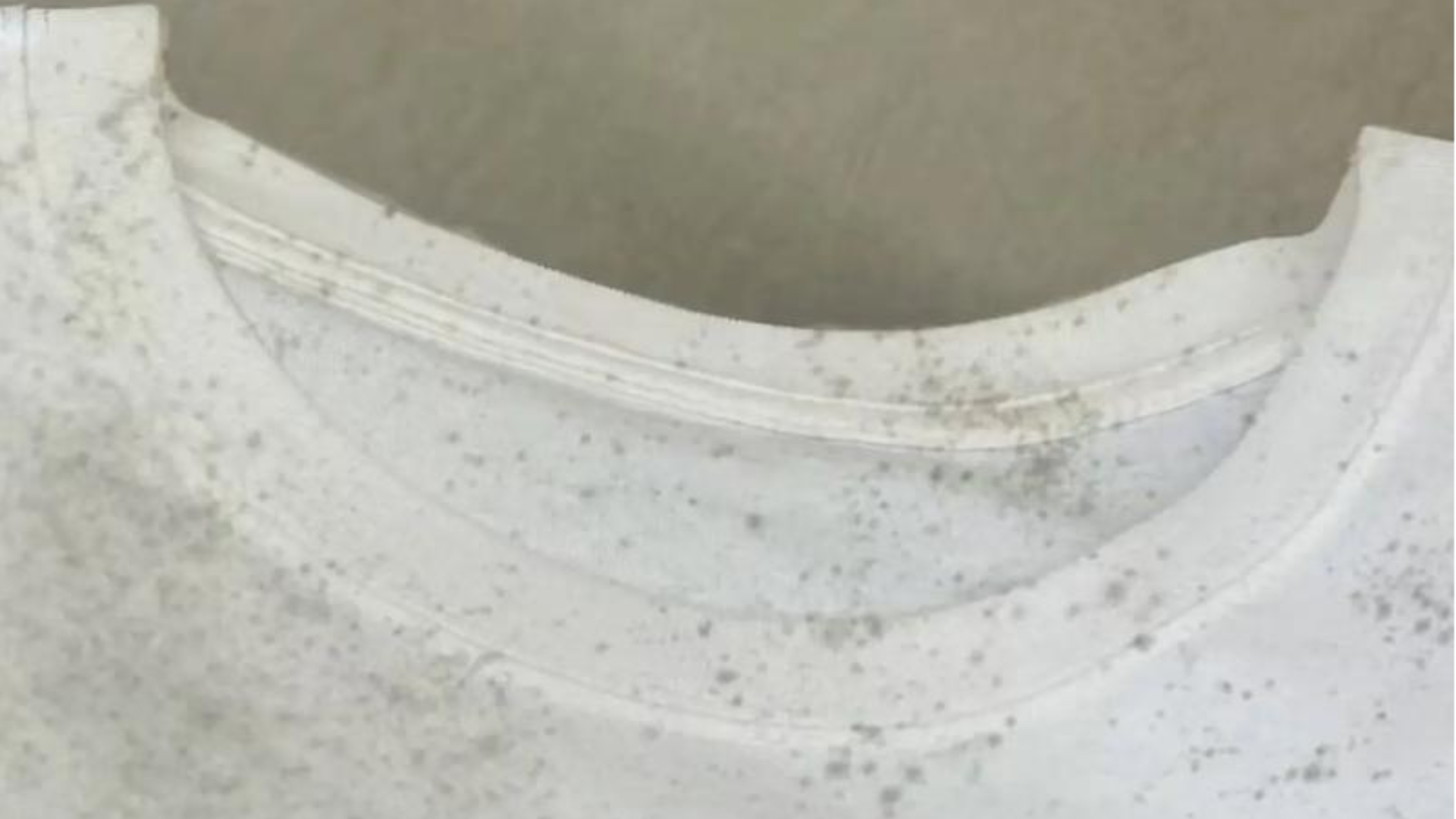 Washing and Treatment Methods for Mold-Stained Clothes in Laundry Shops